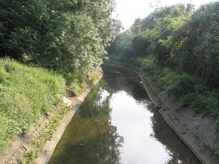 Really valuable project for Leigh Park « Havant Friends of the Earth